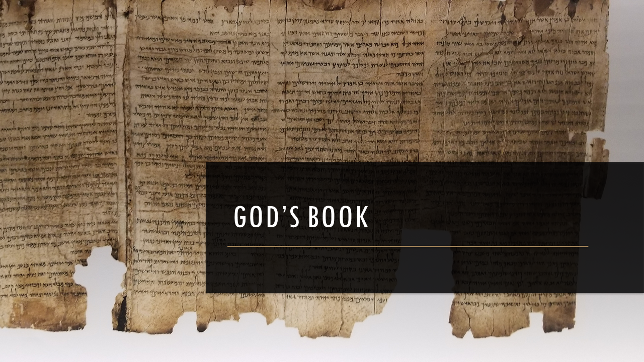 155 God's Book (Sean Finnegan) - Restitutio